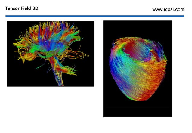 Tensor Physics for Deep Learning | PPT