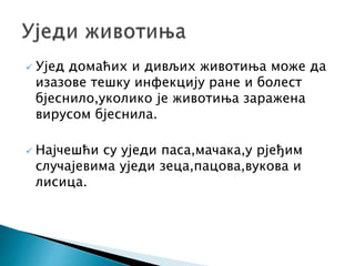 Ujed zmije i ubodi insekata | PPTX