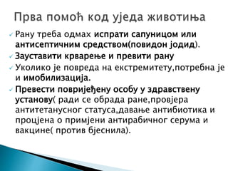 Ujed zmije i ubodi insekata | PPTX