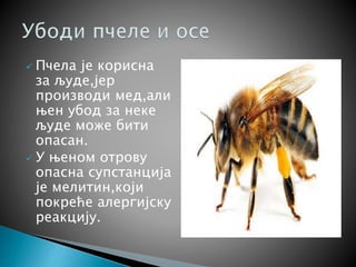 Ujed zmije i ubodi insekata | PPTX