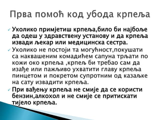 Ujed zmije i ubodi insekata | PPTX