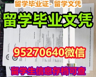 USYD成绩单 | PPT