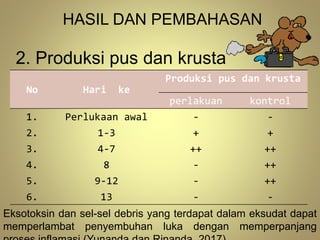 GAMBARAN PENYEMBUHAN LUKA SAYAT PADA KULIT MENCIT MENGGUNAKAN SEDIAAN ...