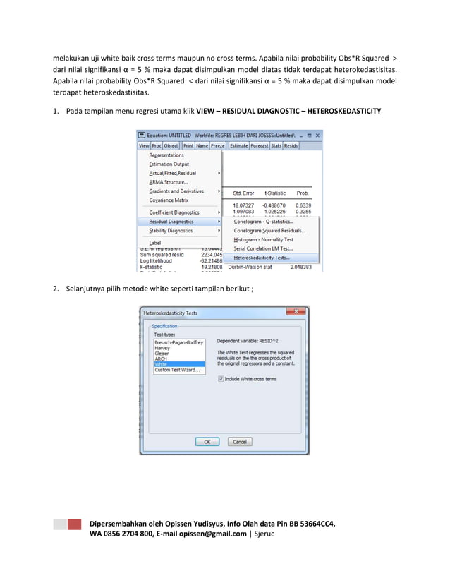 Analisis Uji asumsi klasik dengan Eviews | PDF