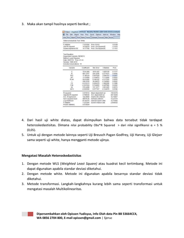 Analisis Uji asumsi klasik dengan Eviews | PDF