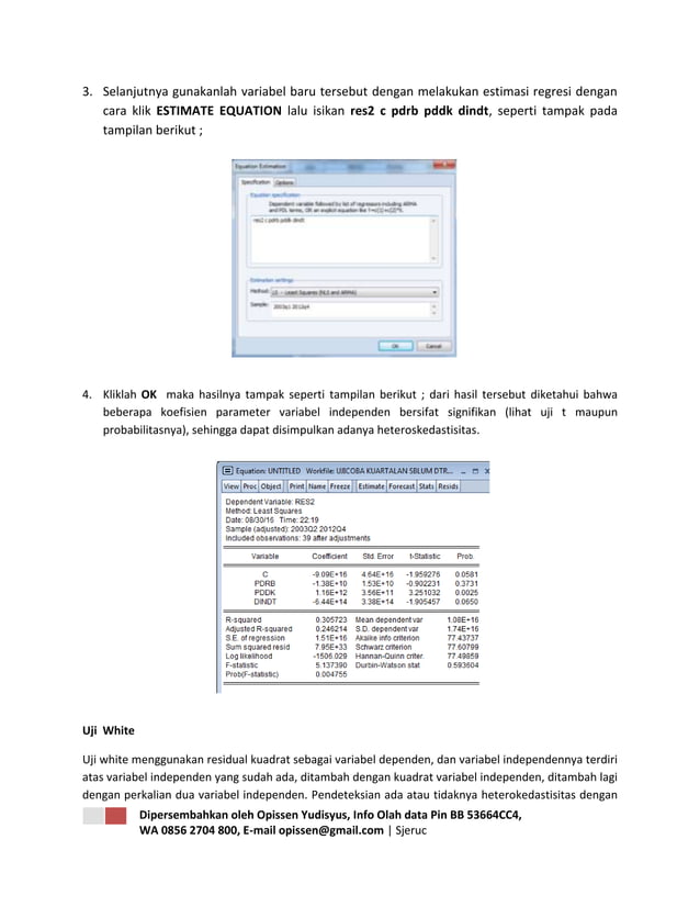 Analisis Uji asumsi klasik dengan Eviews | PDF
