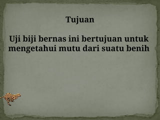 UJI BERNAS BENIH PADI YANG BAIK DAN MEMILIKI KUALITAS | PPT