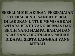 UJI BERNAS BENIH PADI YANG BAIK DAN MEMILIKI KUALITAS | PPT