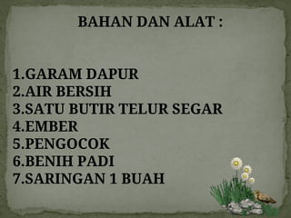 UJI BERNAS BENIH PADI YANG BAIK DAN MEMILIKI KUALITAS | PPT
