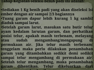 UJI BERNAS BENIH PADI YANG BAIK DAN MEMILIKI KUALITAS | PPT