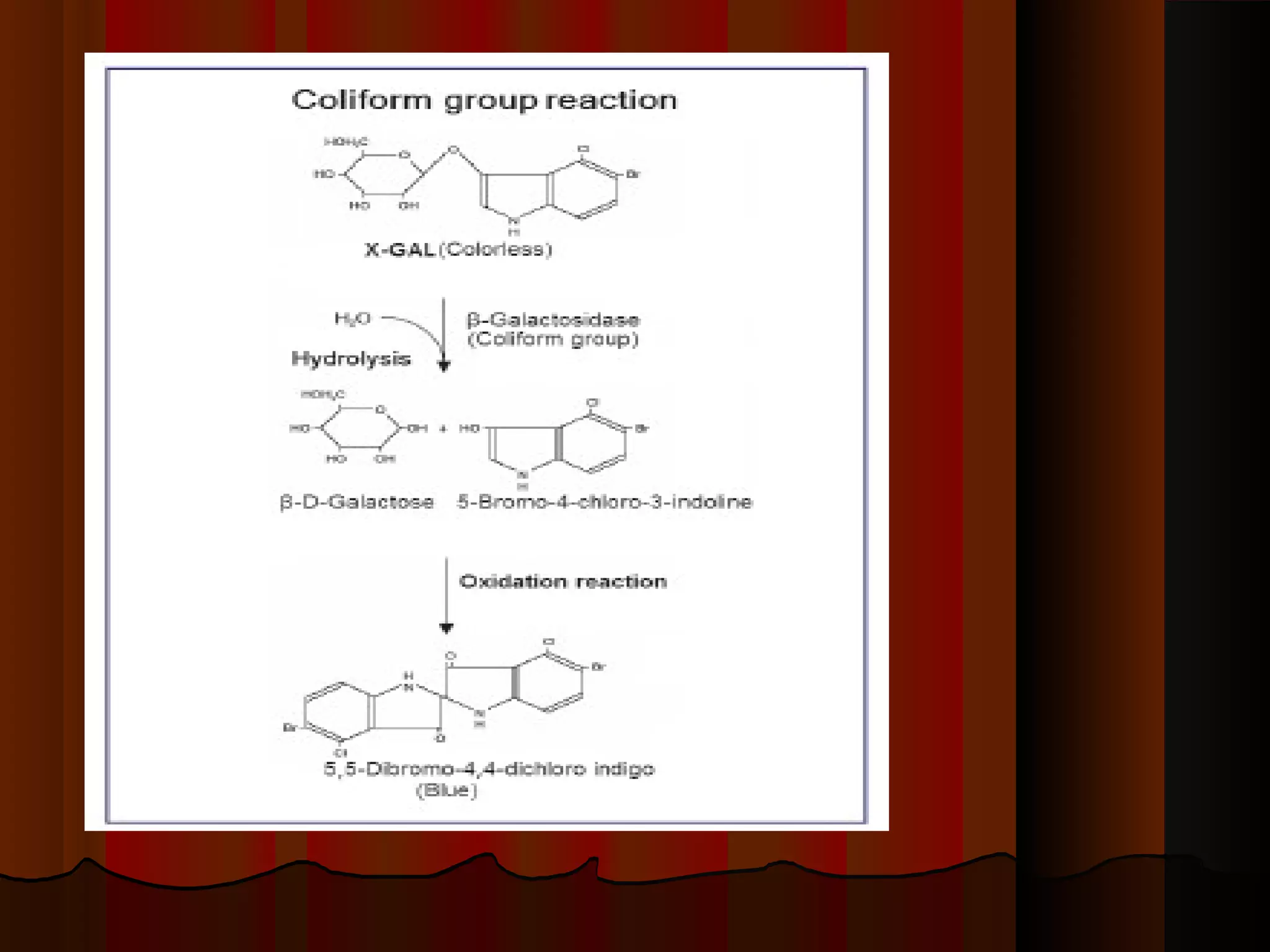 Uji biokimia konvensional dan rapid | PPT