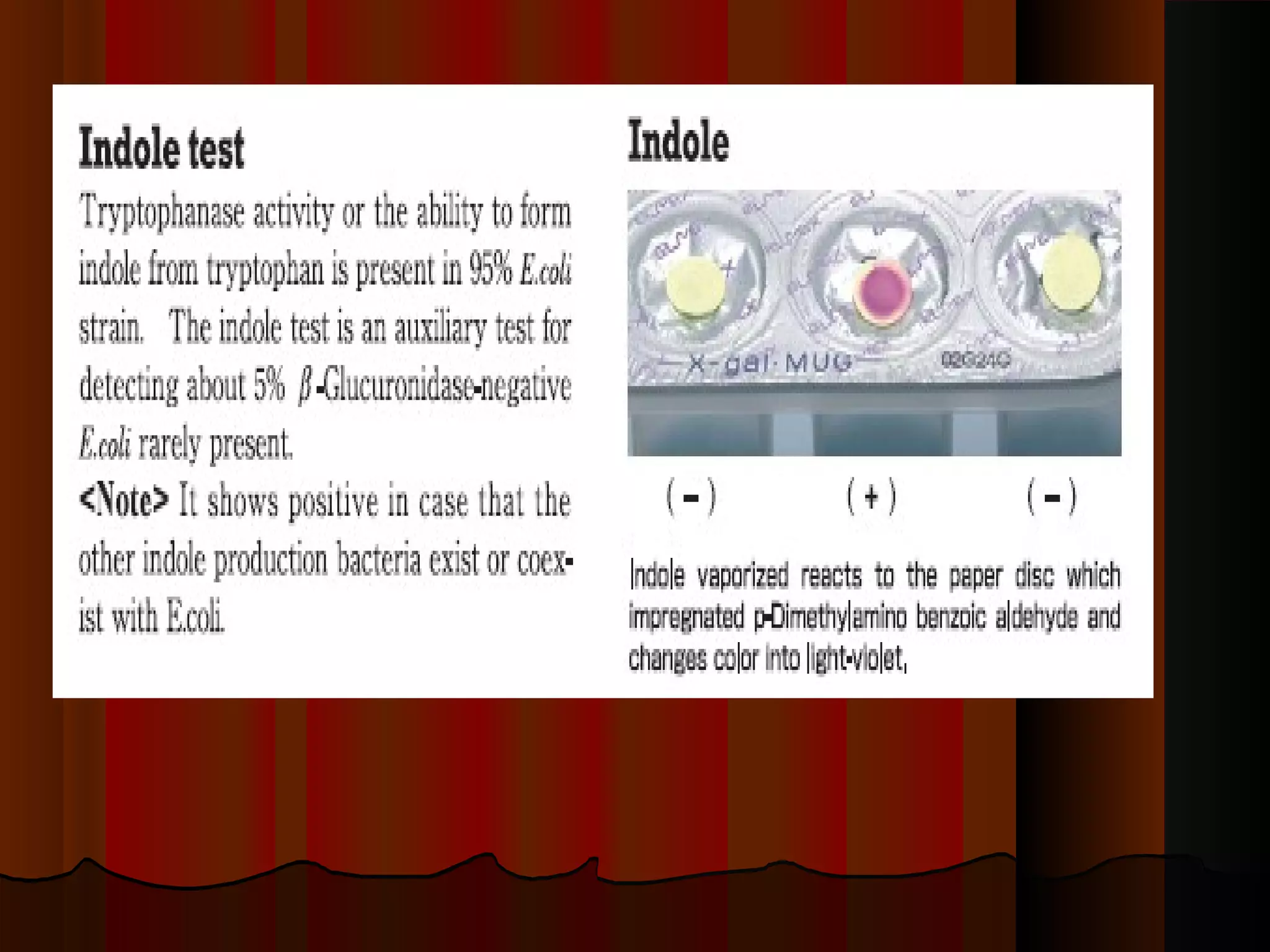 Uji biokimia konvensional dan rapid | PPT