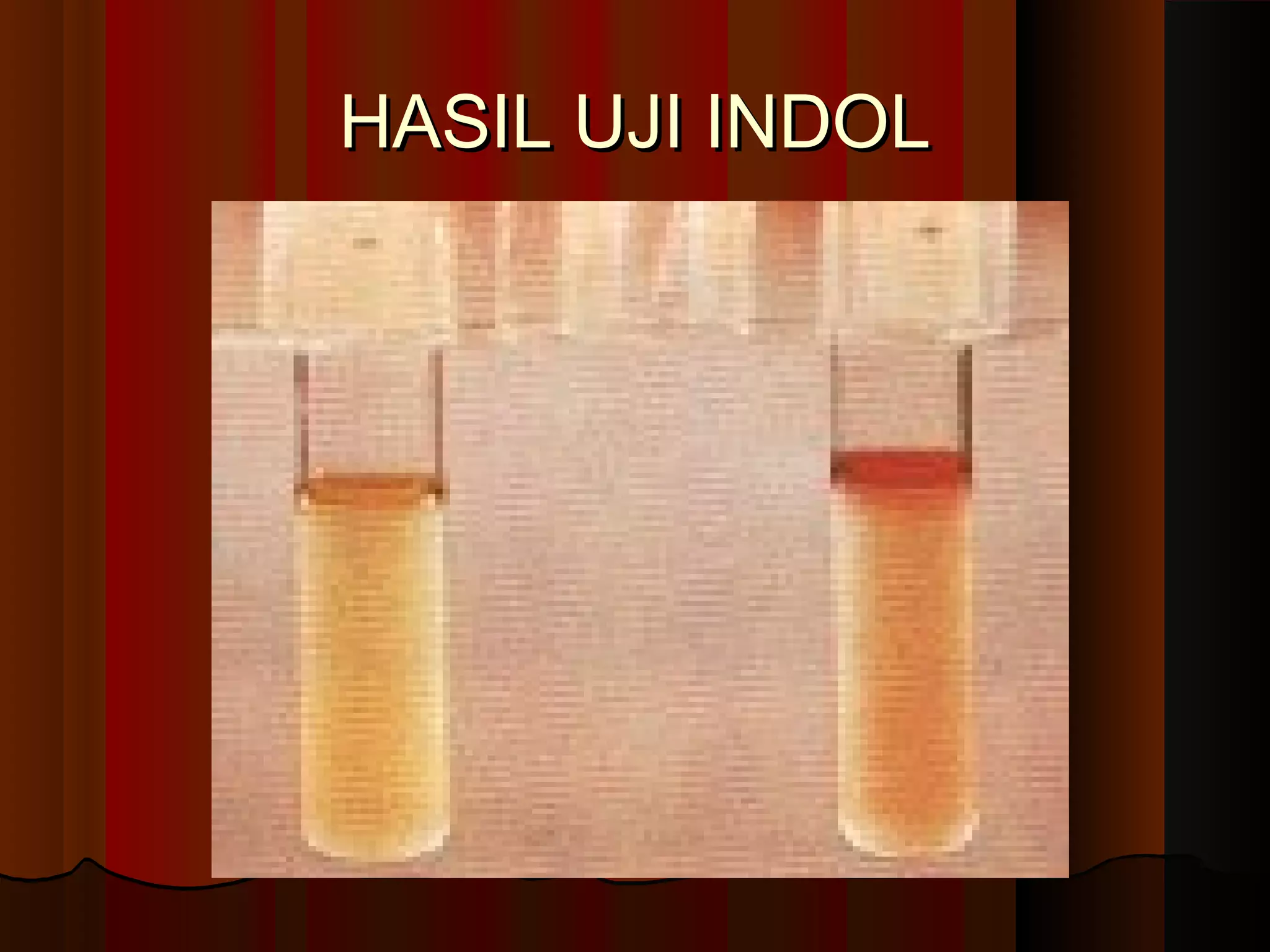 Uji biokimia konvensional dan rapid | PPT