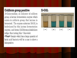 Uji biokimia konvensional dan rapid | PPT