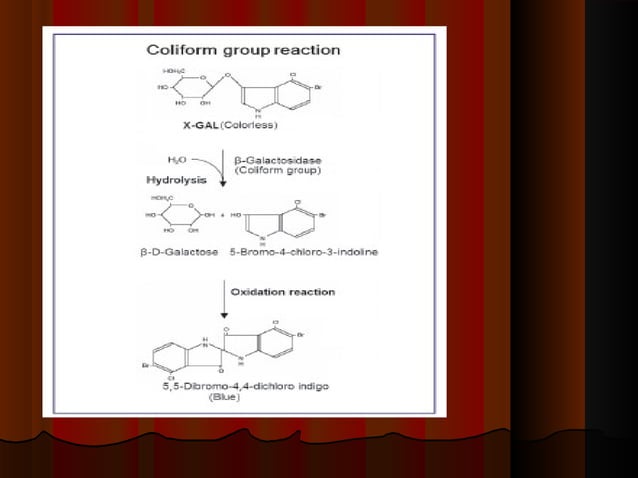 Uji biokimia konvensional dan rapid | PPT