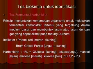 Uji biokimia konvensional dan rapid | PPT