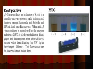 Uji biokimia konvensional dan rapid | PPT