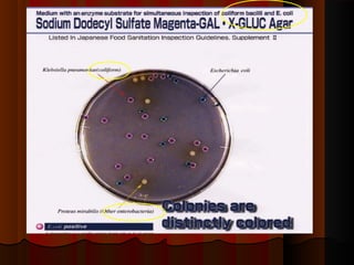 Uji biokimia konvensional dan rapid | PPT