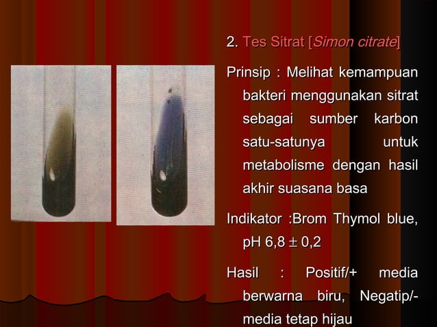 Uji biokimia konvensional dan rapid | PPT