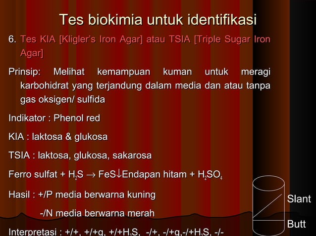 Uji biokimia konvensional dan rapid | PPT