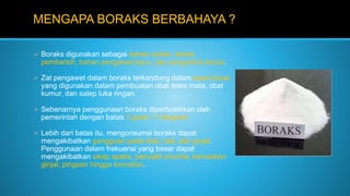 Uji Boraks | PPTX