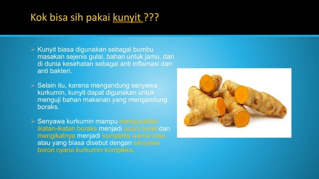 Uji Boraks | PPTX