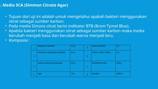 Uji Imvic untuk kelompok enterobacteriaceae | PPTX