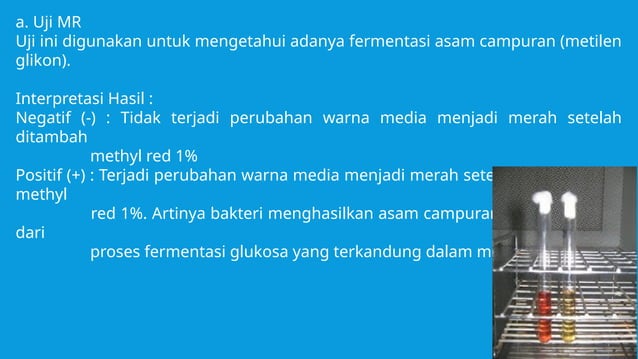 Uji Imvic untuk kelompok enterobacteriaceae | PPTX