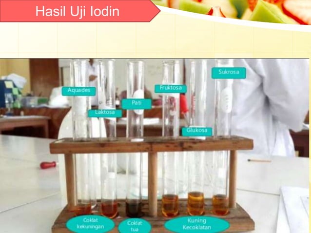 Uji Karbohidrat | PPTX