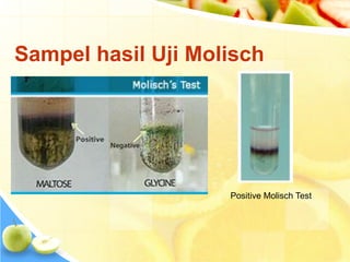 Uji Karbohidrat | PPTX