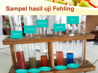 Uji Karbohidrat | PPT