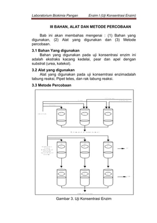 Uji konsentrasi enzim | DOCX