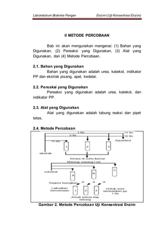 Uji Konsentrasi Enzim | DOCX