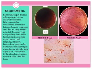 Uji mikrobiologis Makanan berlemak/minyak | PPTX