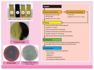 Uji mikrobiologis Makanan berlemak/minyak | PPTX