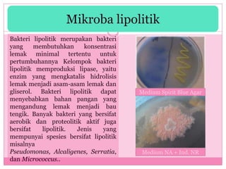 Uji mikrobiologis Makanan berlemak/minyak | PPTX