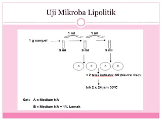 Uji mikrobiologis Makanan berlemak/minyak | PPTX