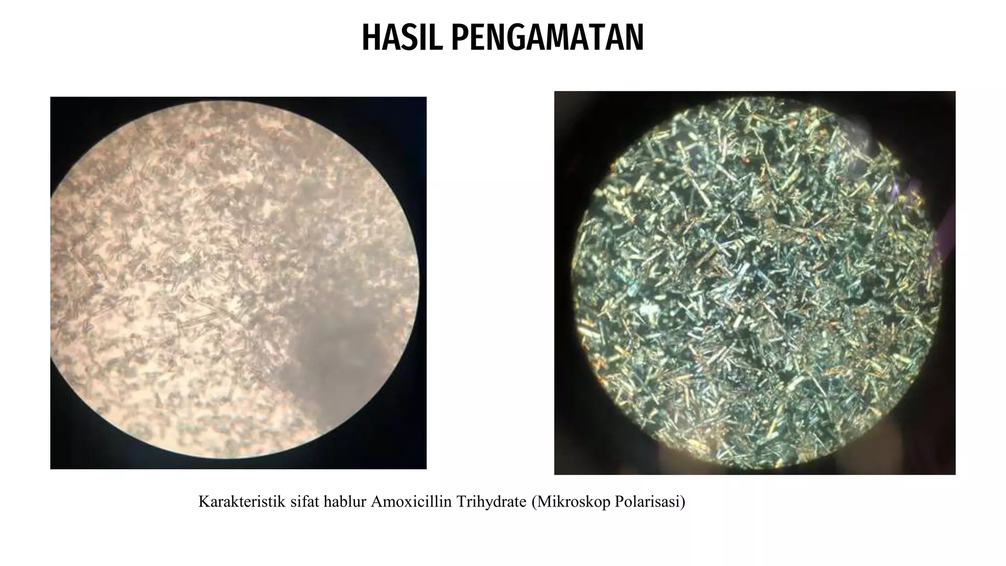 UJI MIKROSKOP.pptx