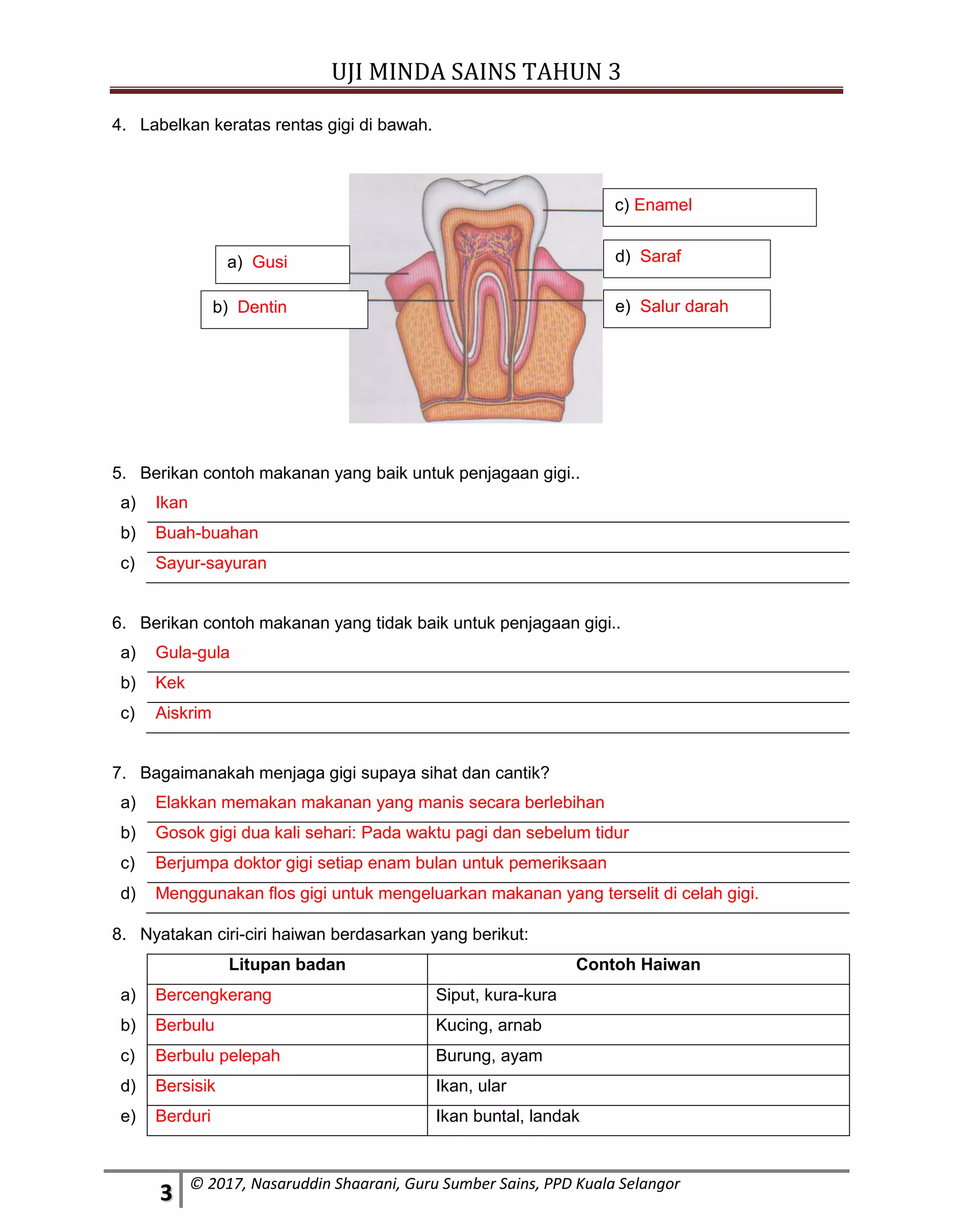 Uji minda sn thn 3 guru | PDF