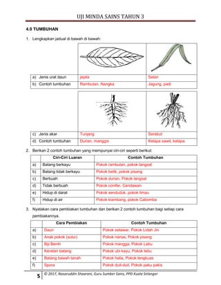 Uji minda sn thn 3 guru | PDF