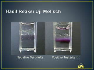 Uji molisch | PPT