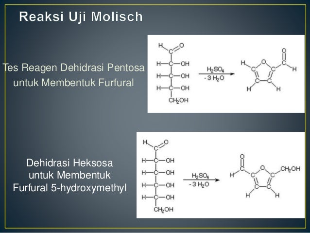 Uji molisch
