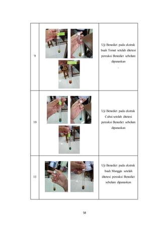 Laporan Biokimia Praktikum Karbohidrat: Uji Molish, Uji Benedict, Uji ...