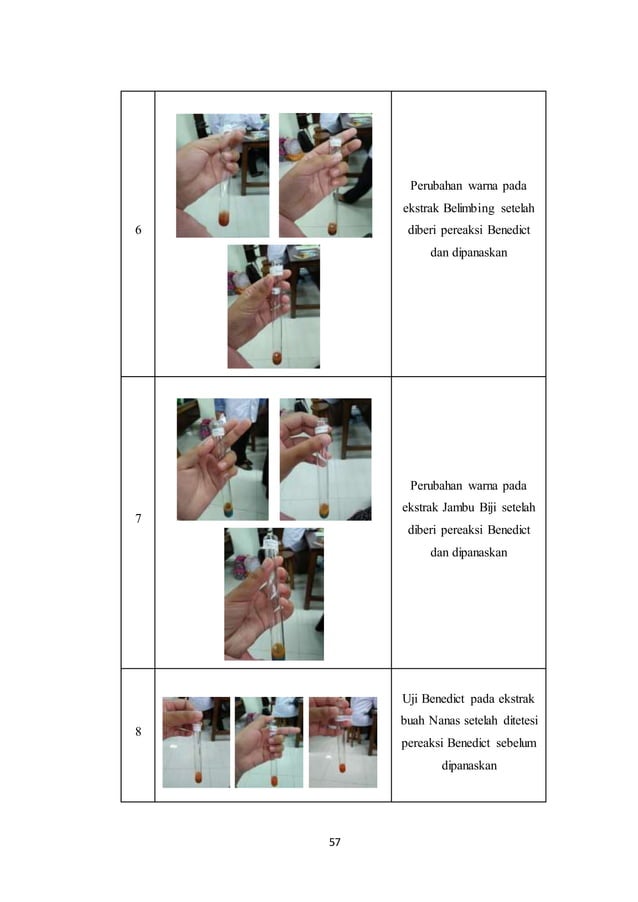 Laporan Biokimia Praktikum Karbohidrat: Uji Molish, Uji Benedict, Uji ...