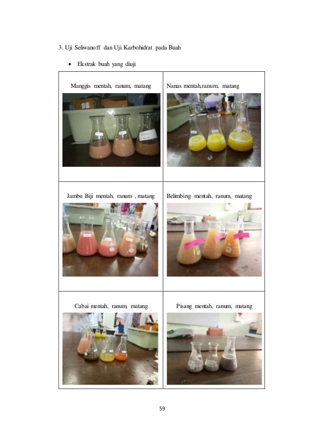 Laporan Biokimia Praktikum Karbohidrat: Uji Molish, Uji Benedict, Uji… Laporan Biokimia Praktikum Karbohidrat: Uji Molish, Uji Benedict, Uji…