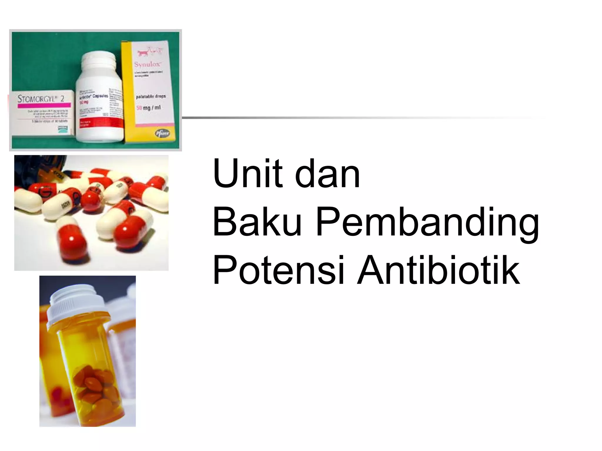 Uji potensi antibiotik secara mikrobiologi | PDF