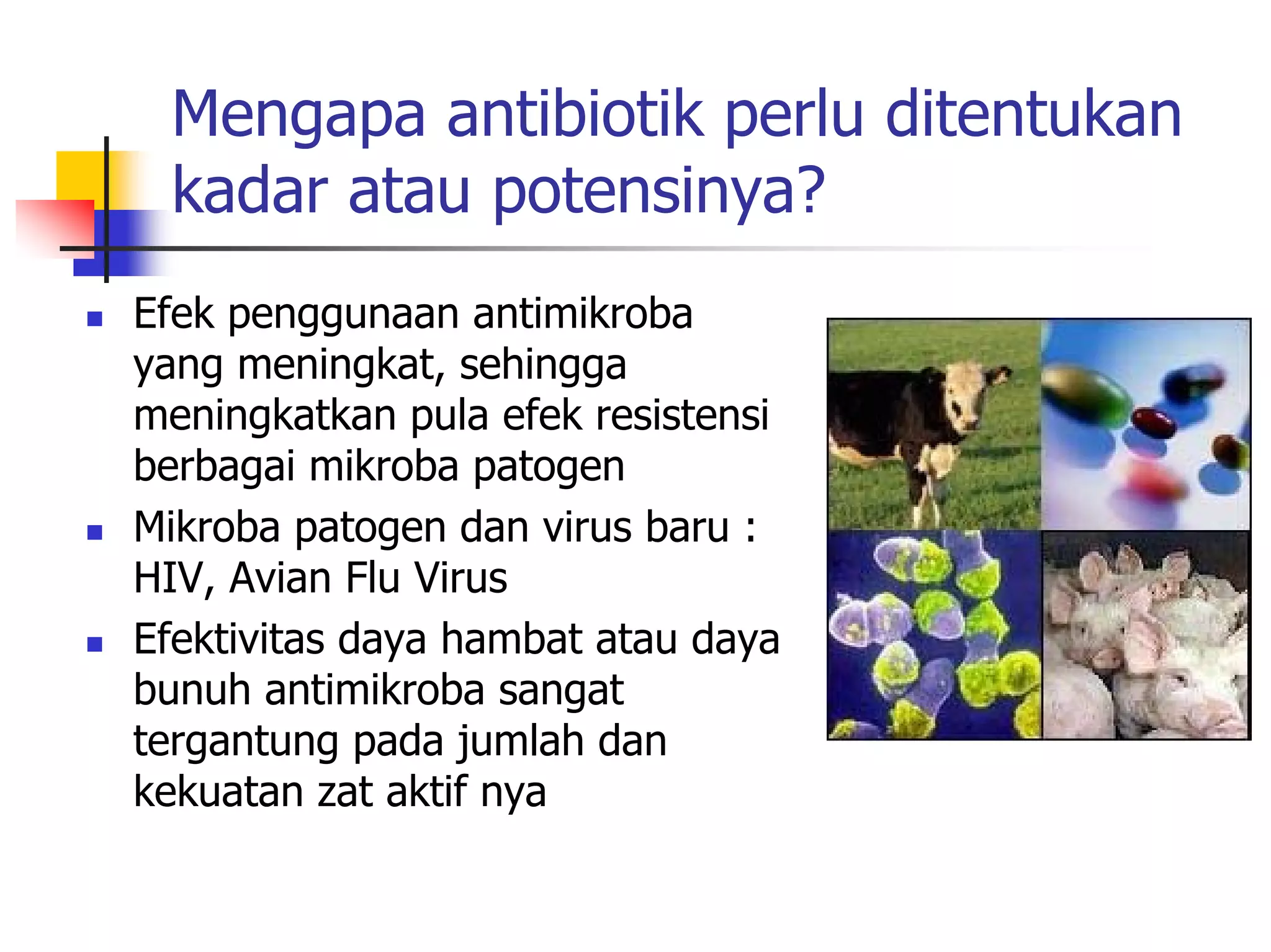 Uji potensi antibiotik secara mikrobiologi | PDF