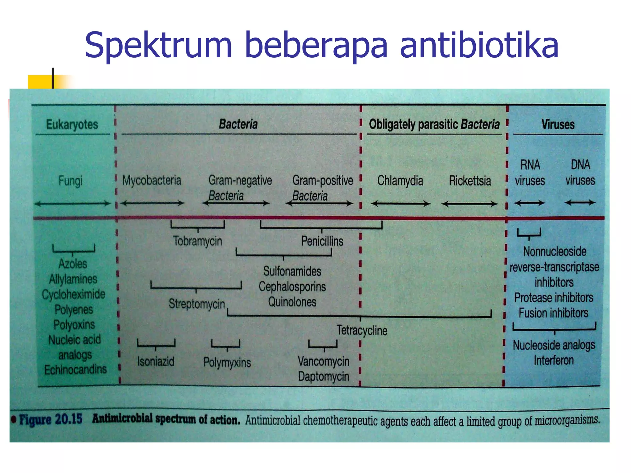Uji potensi antibiotik secara mikrobiologi | PDF