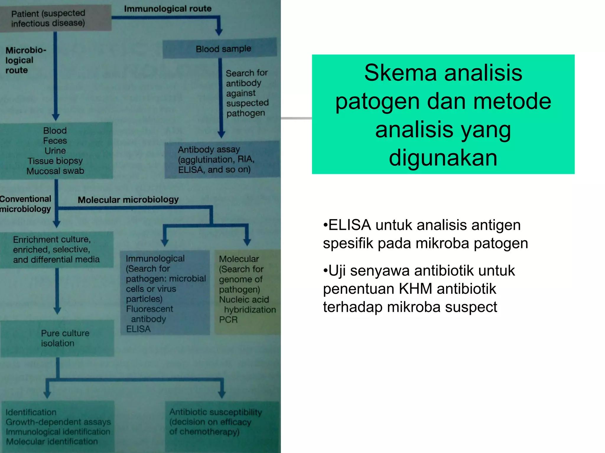 Uji potensi antibiotik secara mikrobiologi | PDF