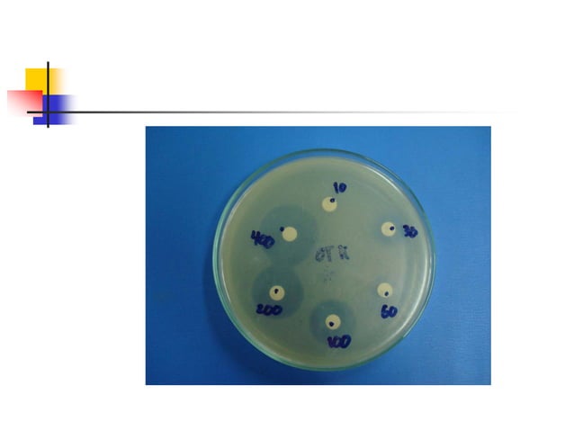Uji potensi antibiotik secara mikrobiologi | PDF